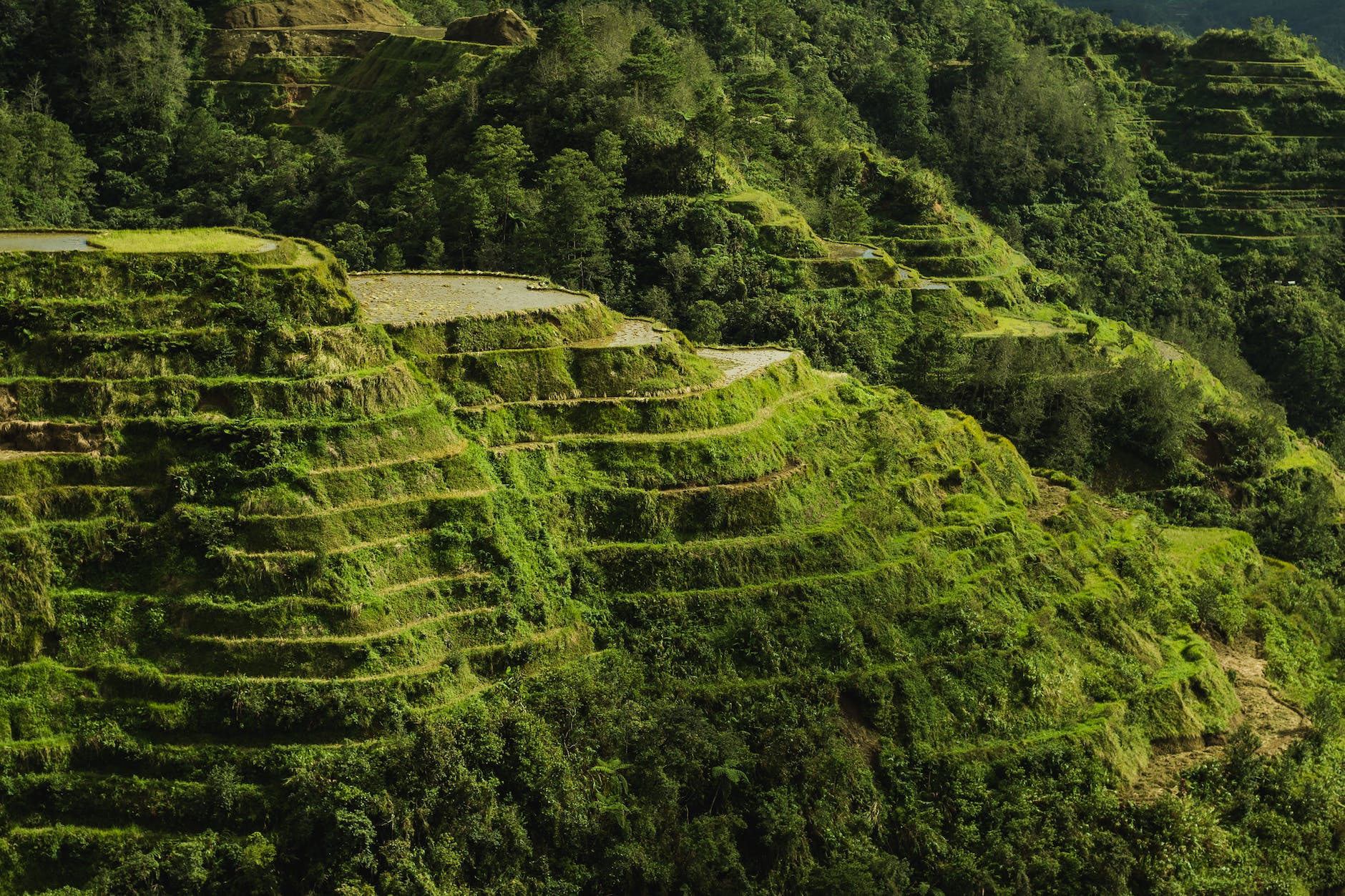 Explore the Ancient Banaue Rice Terraces | mytourguide.ph