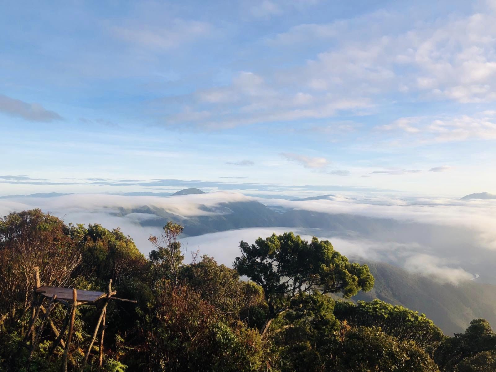Conquer Mount Napulauan: A Thrilling Adventure