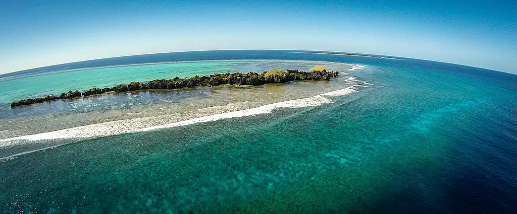 Apo Reef Natural Park: A Guide to Incredible Beauty