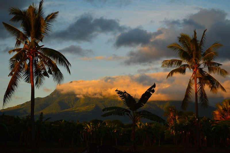 Explore the Breathtaking Trails of Mount Talinis | mytourguide.ph