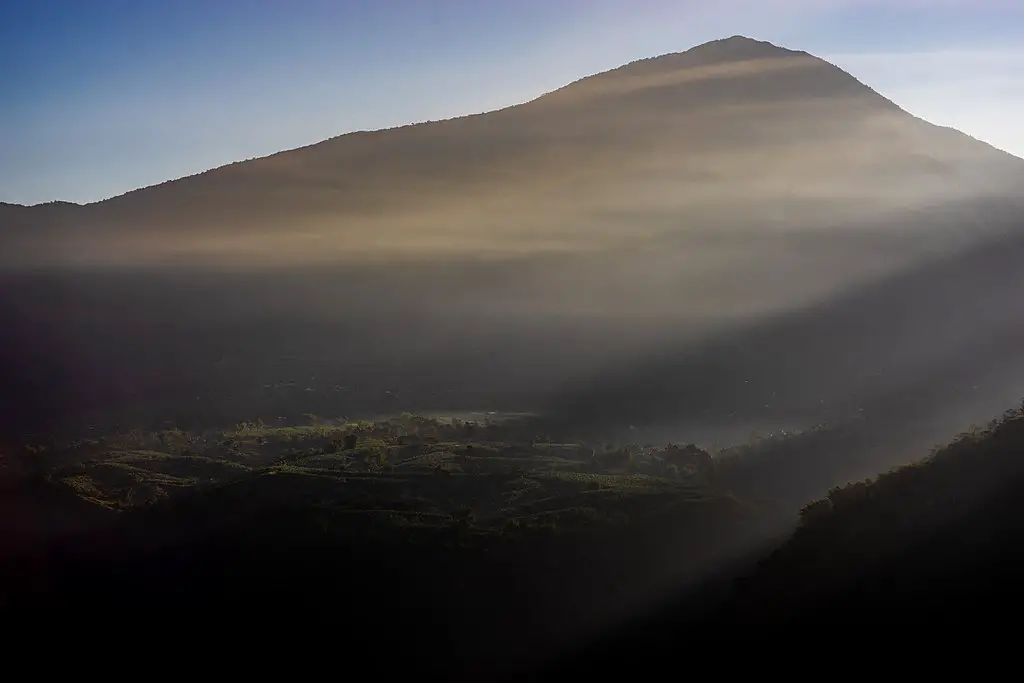 Discover Mount Lumot: A Journey Into Nature's Beauty | mytourguide.ph