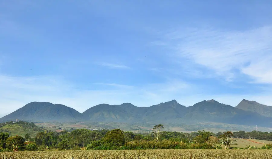 Explore the Wonders of Mount Kitanglad Range Natural Park