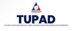 A Comprehensive Guide to Applying for the DOLE-TUPAD Program ...